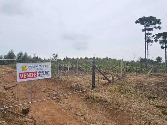 Sítio / Chácara para Venda em Tijucas do Sul/PR Ambrósios