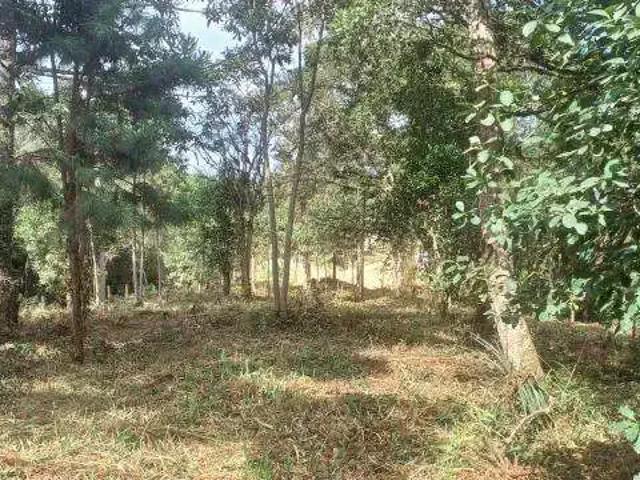 Sítio / Chácara para Venda em Tijucas do Sul/PR Campestre