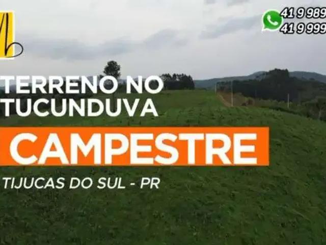 Sítio / Chácara para Venda em Tijucas do Sul/PR Campestre
