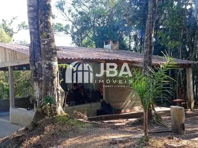 Sítio / Chácara para Venda em Tijucas do Sul/PR Campo Alto