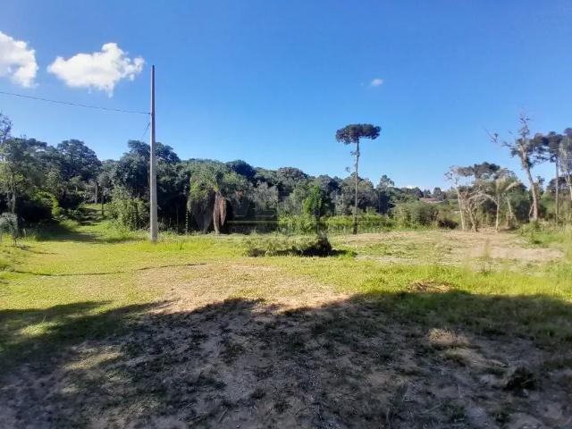 Sítio / Chácara para Venda em Tijucas do Sul/PR Campo das Flores