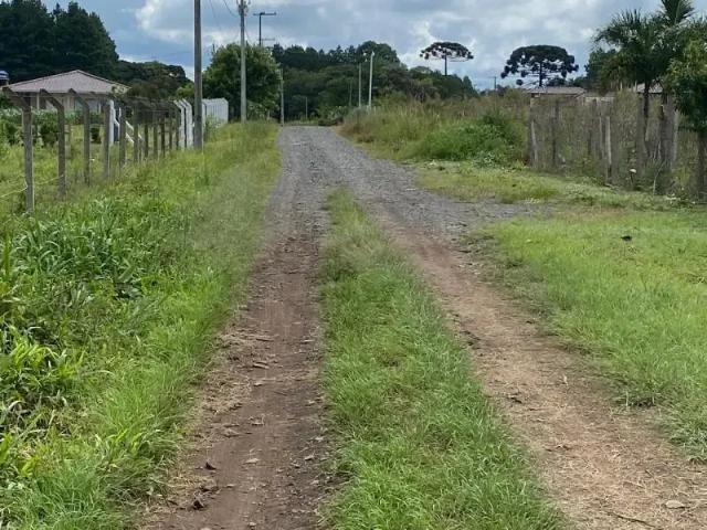 Sítio / Chácara para Venda em Tijucas do Sul/PR Campo das Flores