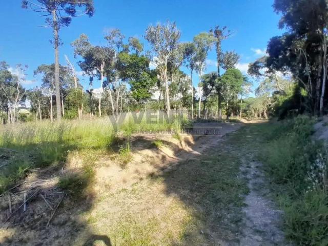 Sítio / Chácara para Venda em Tijucas do Sul/PR Campo das Flores