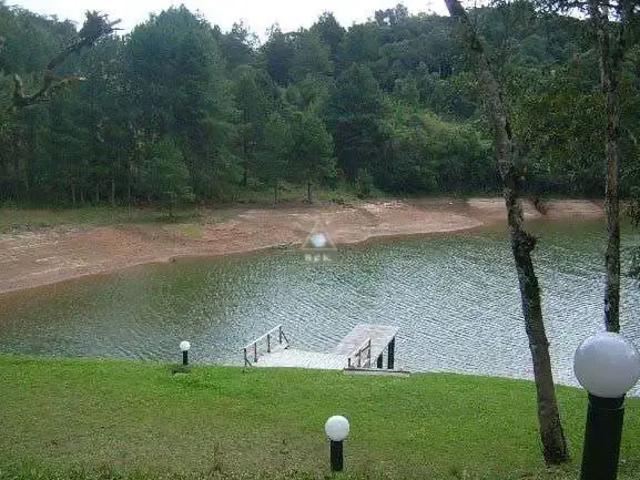 Sítio / Chácara para Venda em Tijucas do Sul/PR Lagoinha 4 Quartos