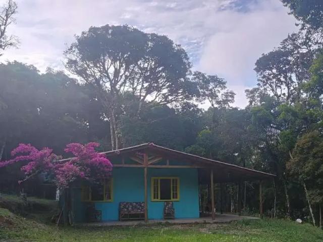 Sítio / Chácara para Venda em Tijucas do Sul/PR Morro Vermelho 3 Quartos