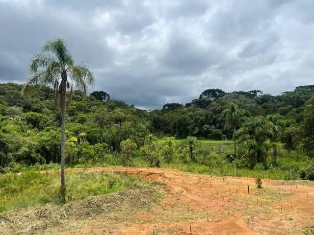 Sítio / Chácara para Venda em Tijucas do Sul/PR Morro Vermelho 3 Quartos