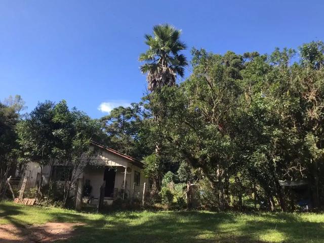 Sítio / Chácara para Venda em Tijucas do Sul/PR Rio do Una 3 Quartos