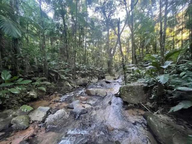 Sítio / Chácara para Venda em Timbó/SC Mulde Central