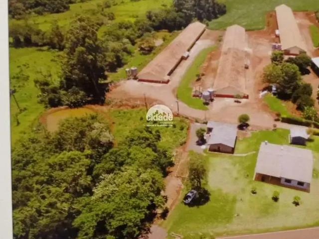 Sítio / Chácara para Venda em Três Barras do Paraná/PR Area Rural
