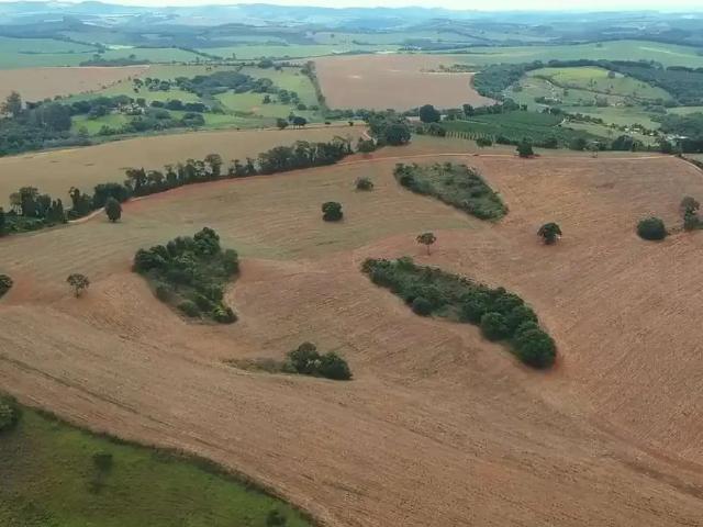 Sítio / Chácara para Venda em Três Corações/MG Área Rural de Três Corações