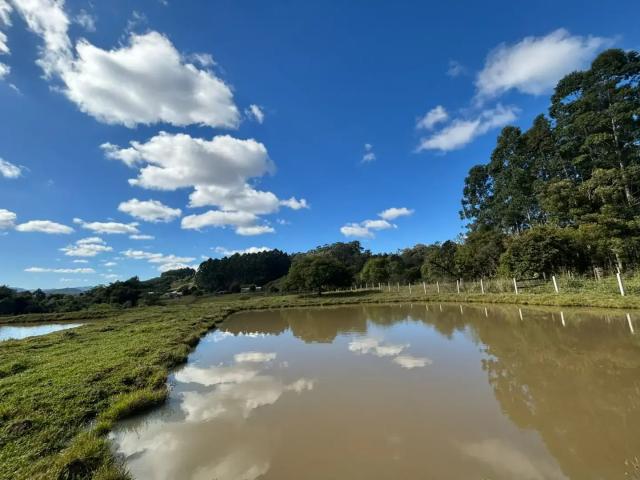 Sítio / Chácara para Venda em Três Coroas/RS Zona Rural