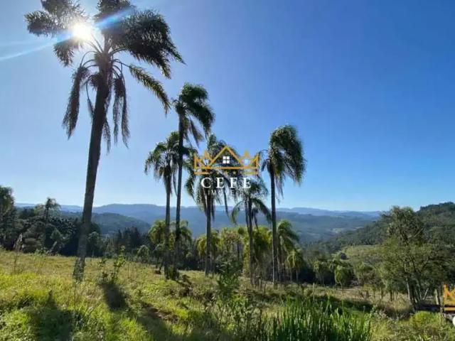 Sítio / Chácara para Venda em Três Coroas/RS Zona Rural