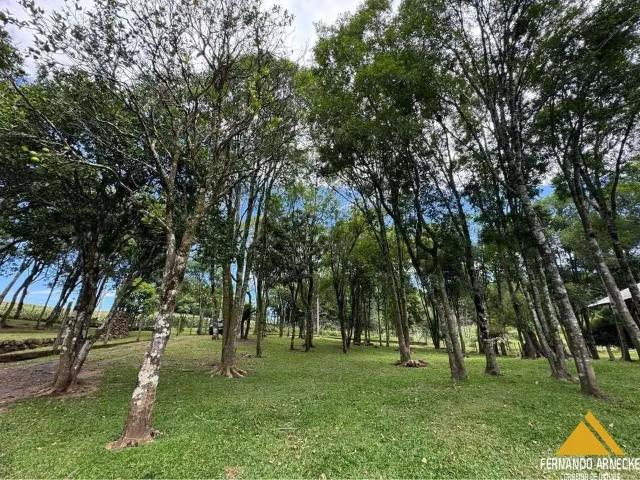 Sítio / Chácara para Venda em Três Coroas/RS Serra Grande