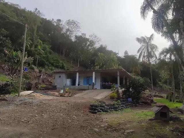 Sítio / Chácara para Venda em Três Forquilhas/RS Boa União 2 Quartos