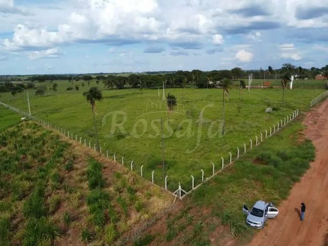 Sítio / Chácara para Venda em Três Fronteiras/SP Zona Rural
