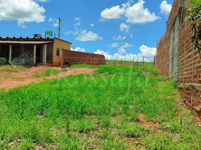 Sítio / Chácara para Venda em Três Fronteiras/SP Zona Rural 2 Quartos