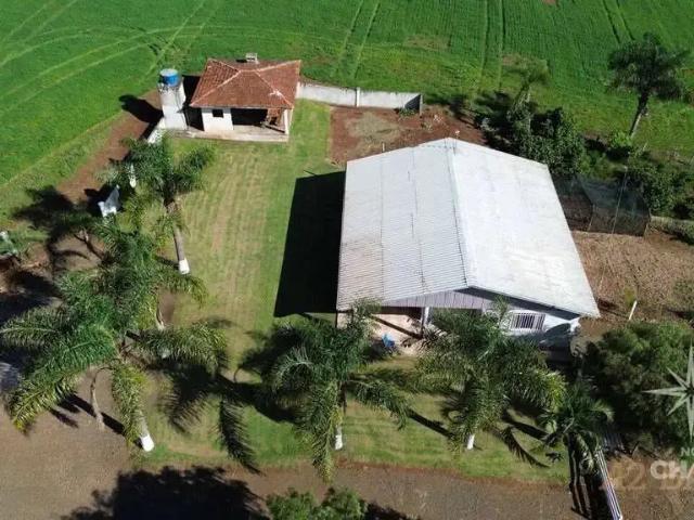 Sítio / Chácara para Venda em Trindade do Sul/RS Zona Rural