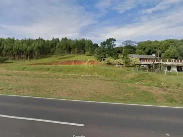 Sítio / Chácara para Venda em Triunfo/RS Zona Rural