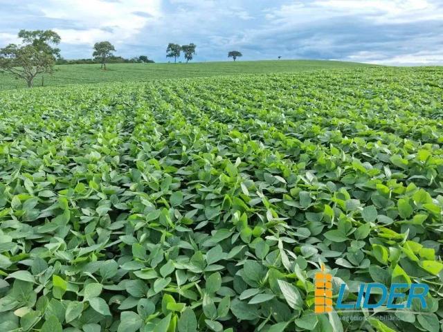 Sítio / Chácara para Venda em Tupaciguara/MG Zona Rural