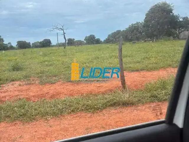 Sítio / Chácara para Venda em Unaí/MG Capim Branco II