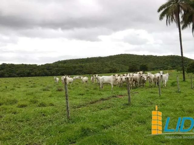 Sítio / Chácara para Venda em Unaí/MG Centro
