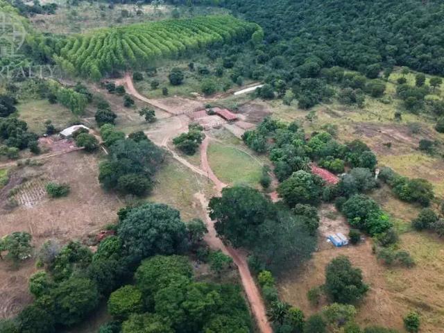 Sítio / Chácara para Venda em Unaí/MG Zona Rural