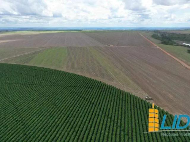 Sítio / Chácara para Venda em Unaí/MG Zona Rural