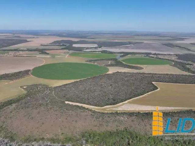 Sítio / Chácara para Venda em Unaí/MG Zona Rural