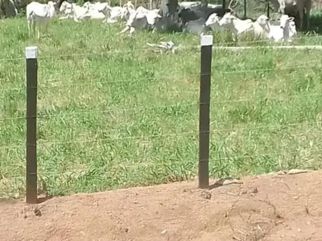 Sítio / Chácara para Venda em Ubaíra/BA Zona Rural 1 Quartos