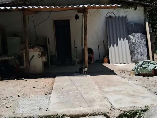 Sítio / Chácara para Venda em Ubatuba/SP Figueira Pé da Serra 4 Quartos