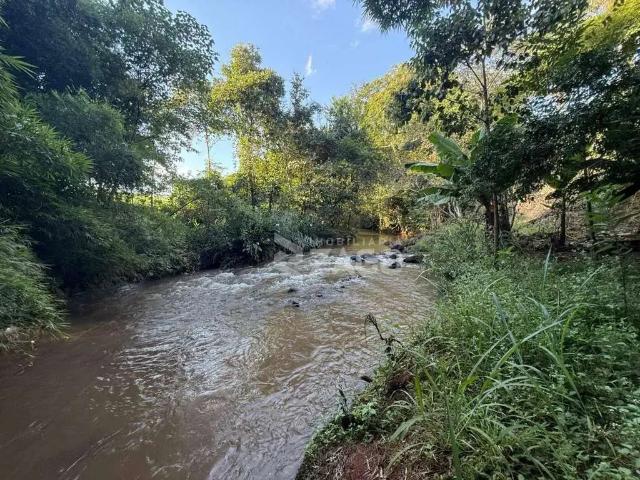 Sítio / Chácara para Venda em Uberaba/MG Área Rural de Uberaba