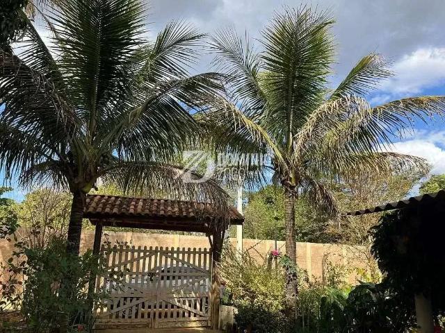 Sítio / Chácara para Venda em Uberaba/MG Área Rural de Uberaba 3 Quartos