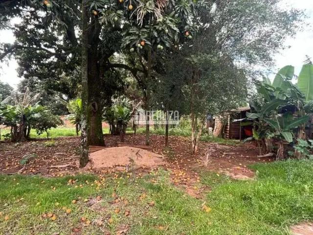 Sítio / Chácara para Venda em Uberaba/MG Recanto das Flores 4 Quartos