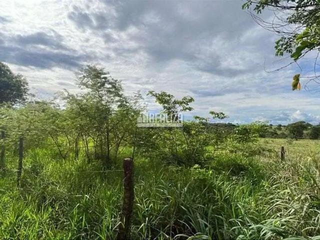 Sítio / Chácara para Venda em Uberaba/MG Recanto das Flores