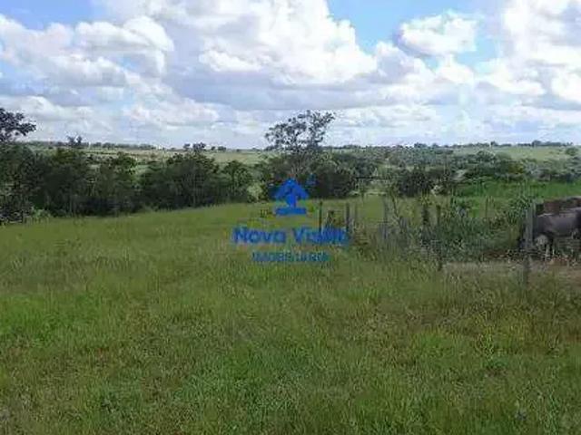Sítio / Chácara para Venda em Uberaba/MG Santa Rosa