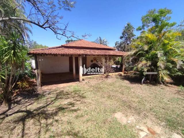 Sítio / Chácara para Venda em Uberlândia/MG Miraporanga 3 Quartos