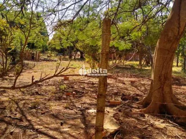 Sítio / Chácara para Venda em Uberlândia/MG Morada dos Pássaros