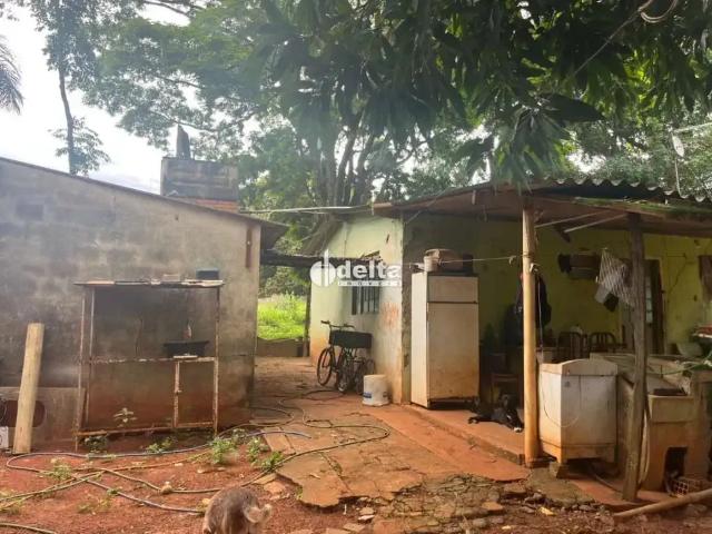 Sítio / Chácara para Venda em Uberlândia/MG Morada dos Pássaros