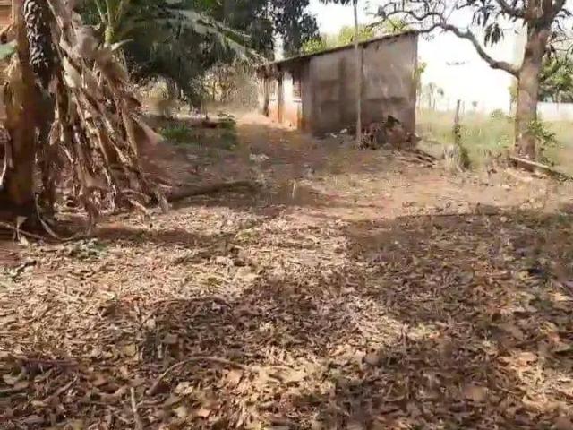 Sítio / Chácara para Venda em Uberlândia/MG Morada Nova