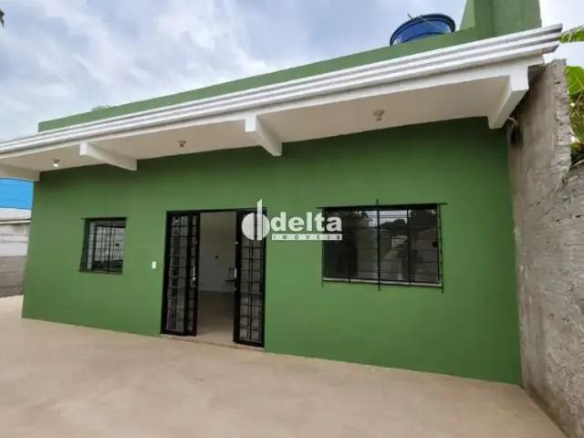 Sítio / Chácara para Venda em Uberlândia/MG Morada Nova 1 Quartos