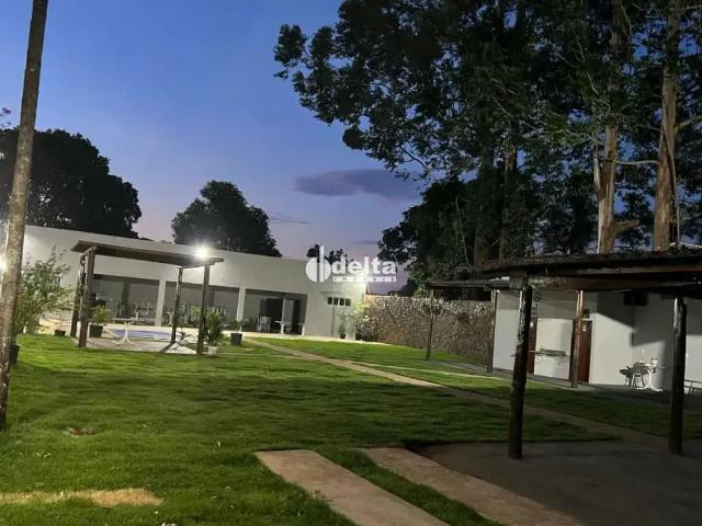 Sítio / Chácara para Venda em Uberlândia/MG Morada Nova 2 Quartos