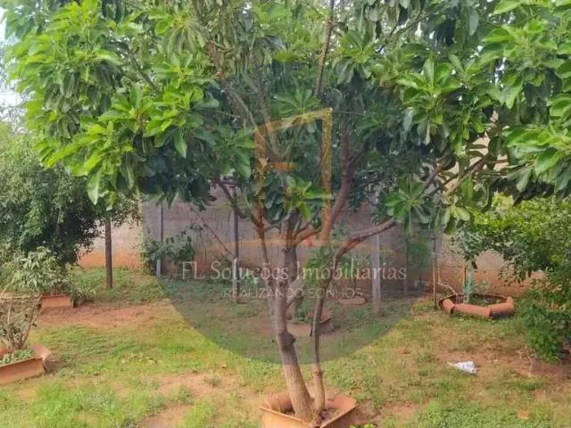 Sítio / Chácara para Venda em Uberlândia/MG Morada Nova 3 Quartos