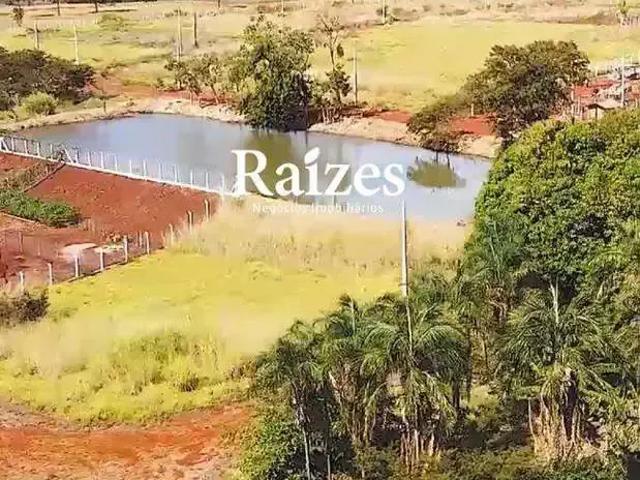 Sítio / Chácara para Venda em Uberlândia/MG Área Rural de Uberlândia