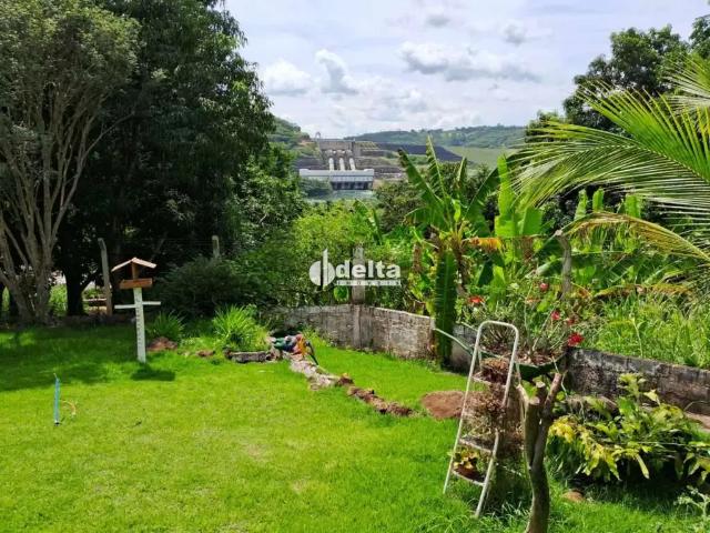 Sítio / Chácara para Venda em Uberlândia/MG Área Rural de Uberlândia 4 Quartos