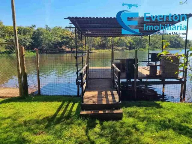 Sítio / Chácara para Venda em Uberlândia/MG Área Rural de Uberlândia 4 Quartos