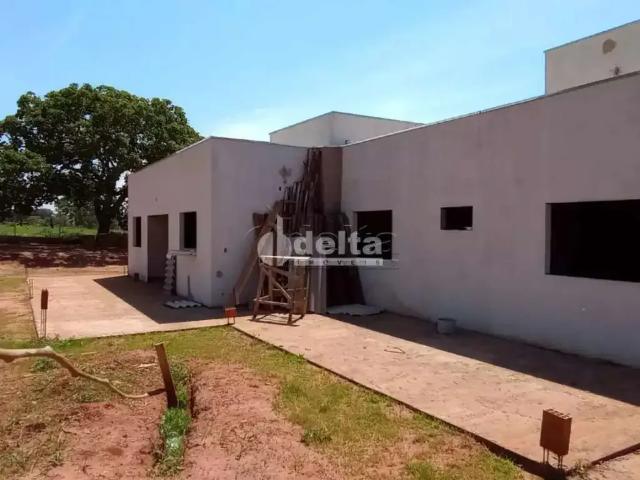 Sítio / Chácara para Venda em Uberlândia/MG Área Rural de Uberlândia 4 Quartos