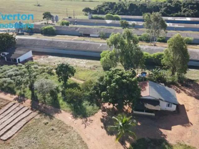 Sítio / Chácara para Venda em Uberlândia/MG Área Rural de Uberlândia