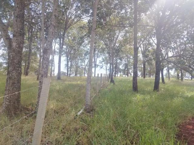 Sítio / Chácara para Venda em Uberlândia/MG Área Rural de Uberlândia 5 Quartos