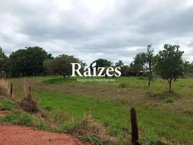 Sítio / Chácara para Venda em Uberlândia/MG Área Rural de Uberlândia