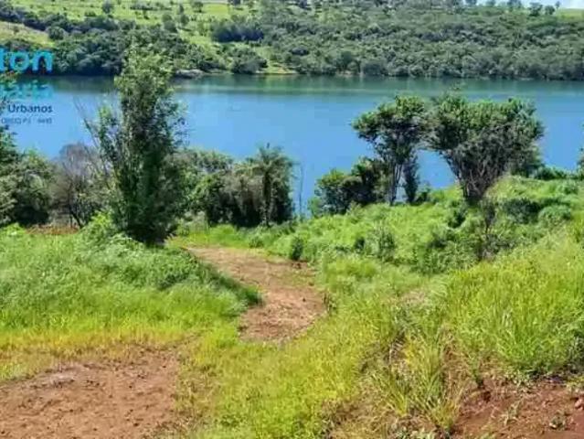 Sítio / Chácara para Venda em Uberlândia/MG Área Rural de Uberlândia